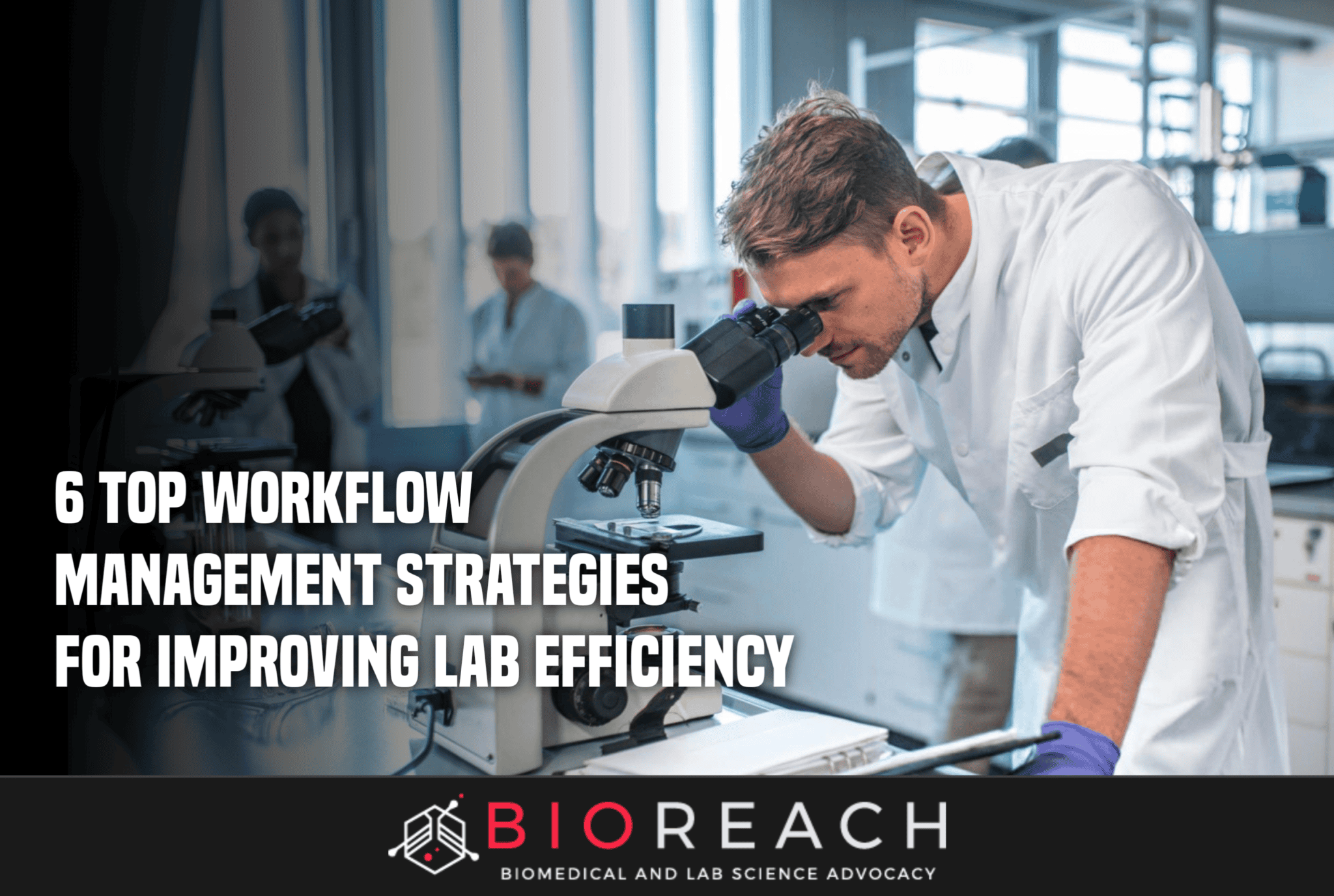 Top Workflow Management Strategies for Improving Lab Efficiency