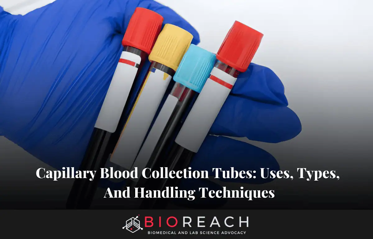 Breaking Down the Lab Report: Understand Results Easily